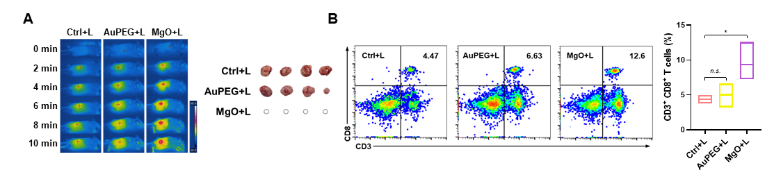 "All-in-One Smart Nanomaterial for Cancer Diagnosis, Treatment, and ...